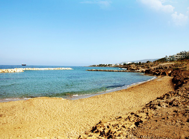 Venus Beach Hotel in Paphos, Cyprus | Olympic Holidays