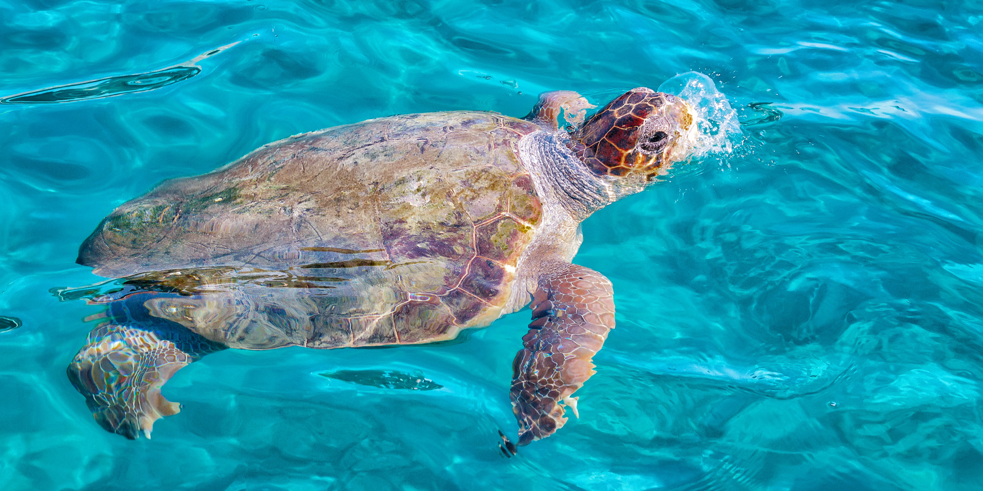 Your Resort Guide to Beautiful Zante | Olympic Holidays